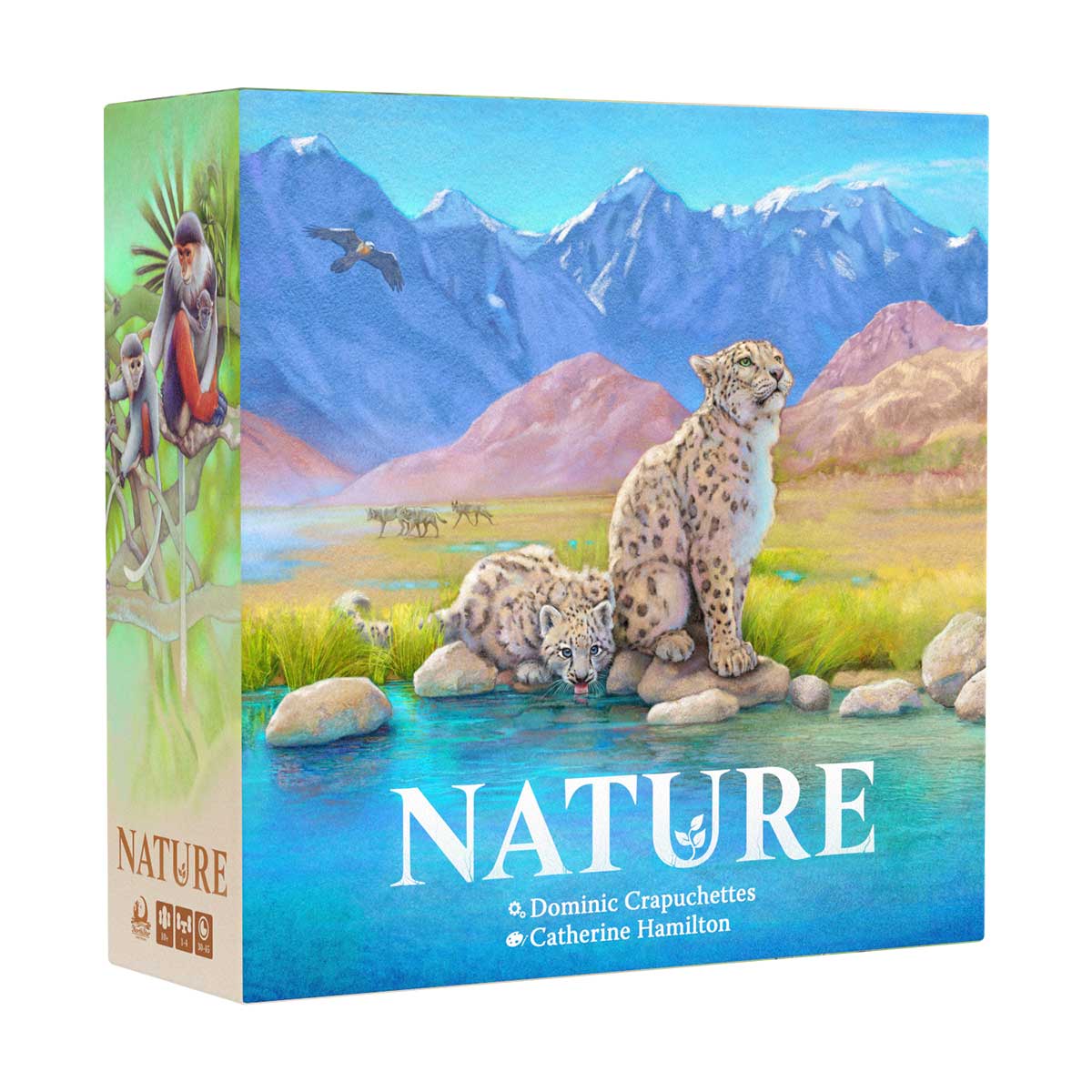 Nature Board Game – Chicory Naturalist