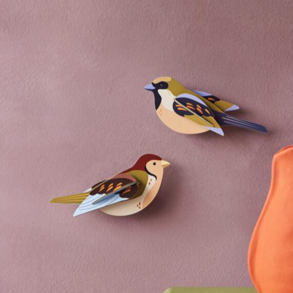 Sparrows | Studio Roof – Chicory Naturalist