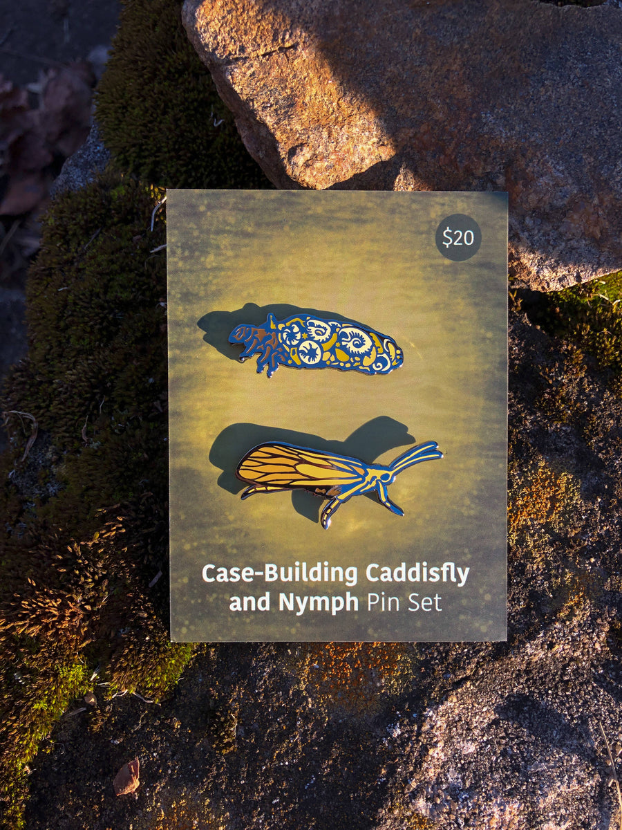 Caddisfly and Nymph Pin Set – Chicory Naturalist