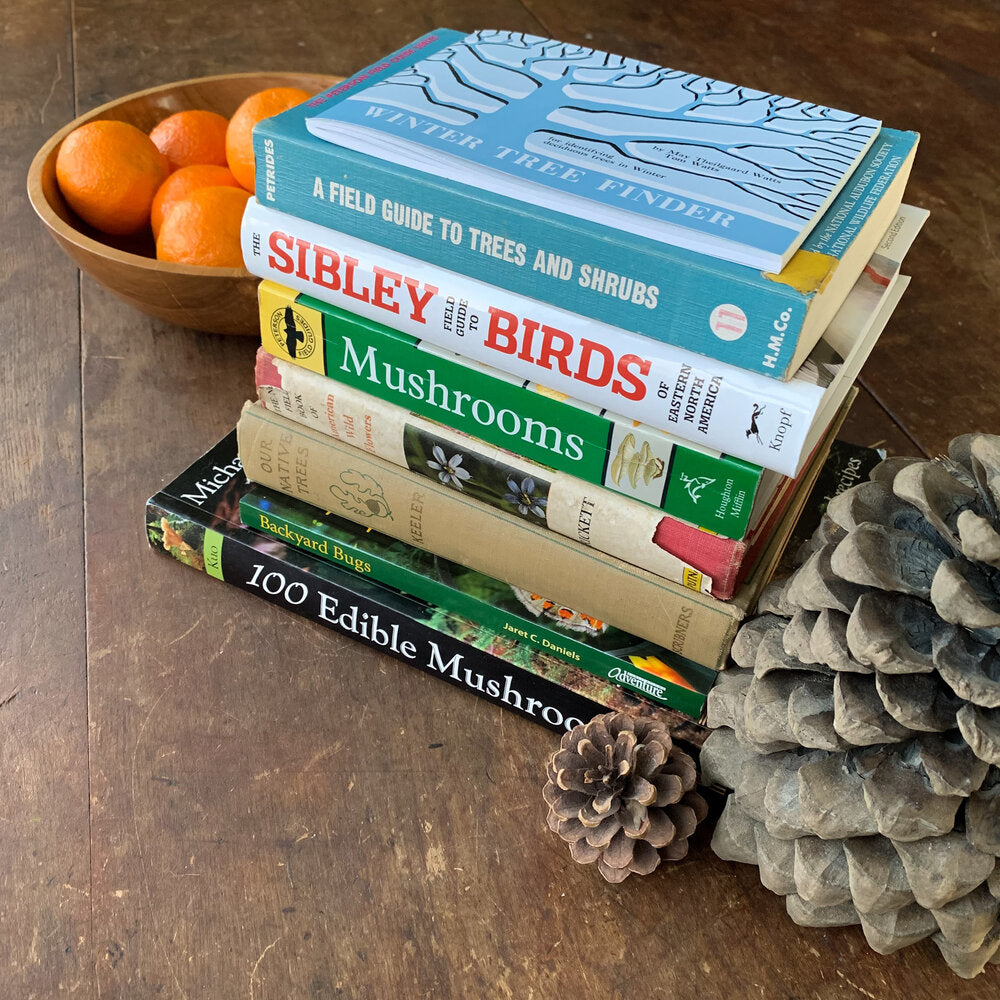 The Why and How of Field Guides – Chicory Naturalist