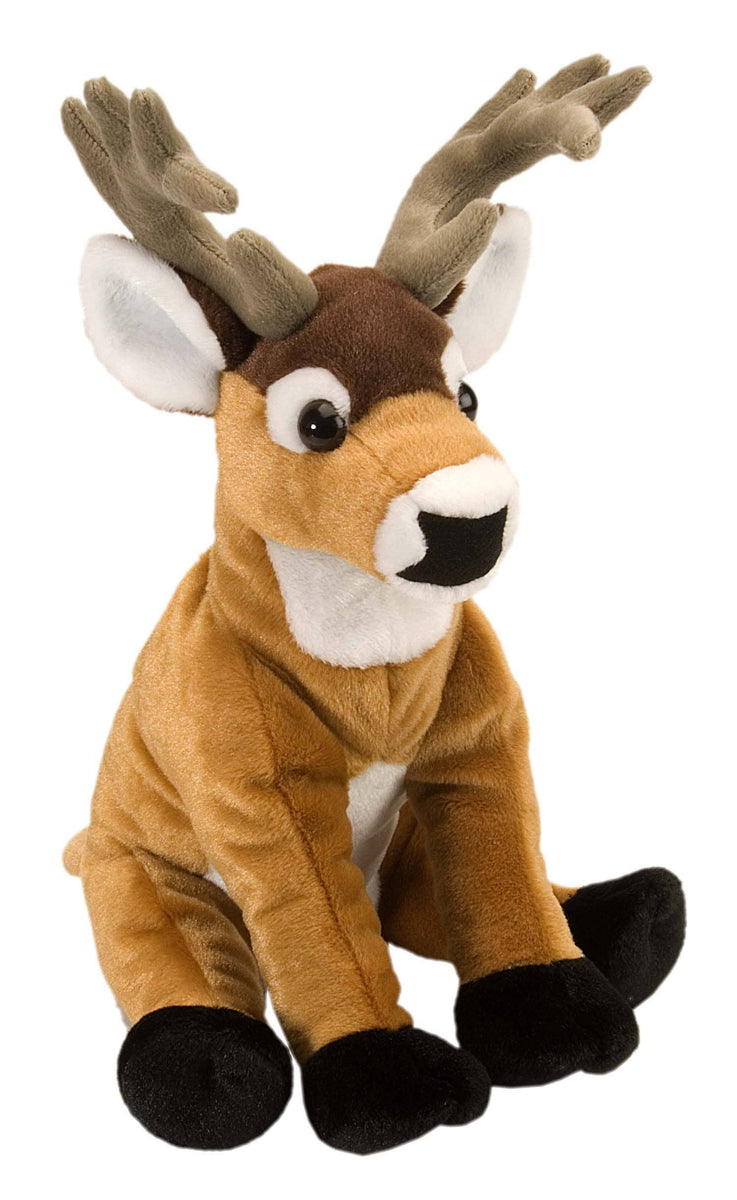 CK White Tail BuCK Stuffed Animal 12" – Chicory Naturalist