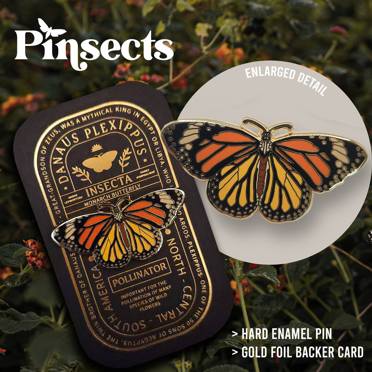 Monarch Butterfly Educational Insect Enamel Pin – Chicory Naturalist