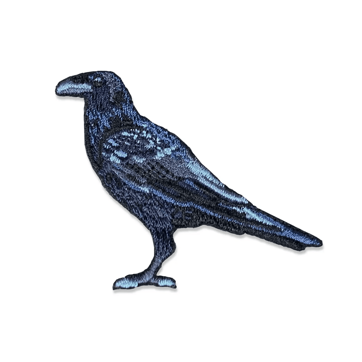 Common Raven Patch – Chicory Naturalist