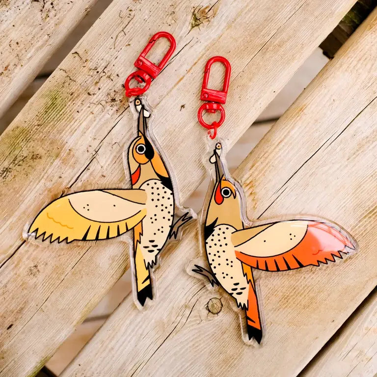 Northern Flicker Morphs Acrylic Keychain – Chicory Naturalist