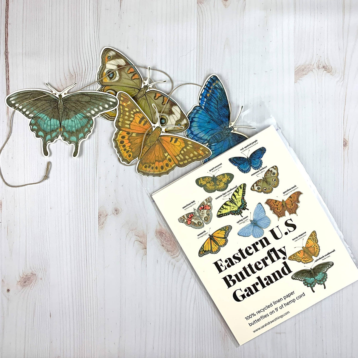 Eastern U.S. Native Butterfly Illustrated Garland – Chicory Naturalist