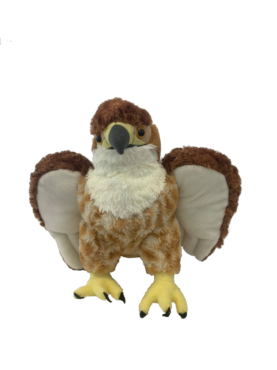 CK Red Tailed Hawk Stuffed Animal 12" – Chicory Naturalist