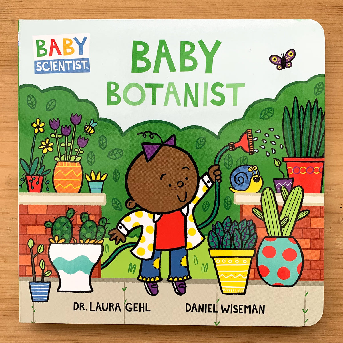 Baby Botanist – Chicory Naturalist