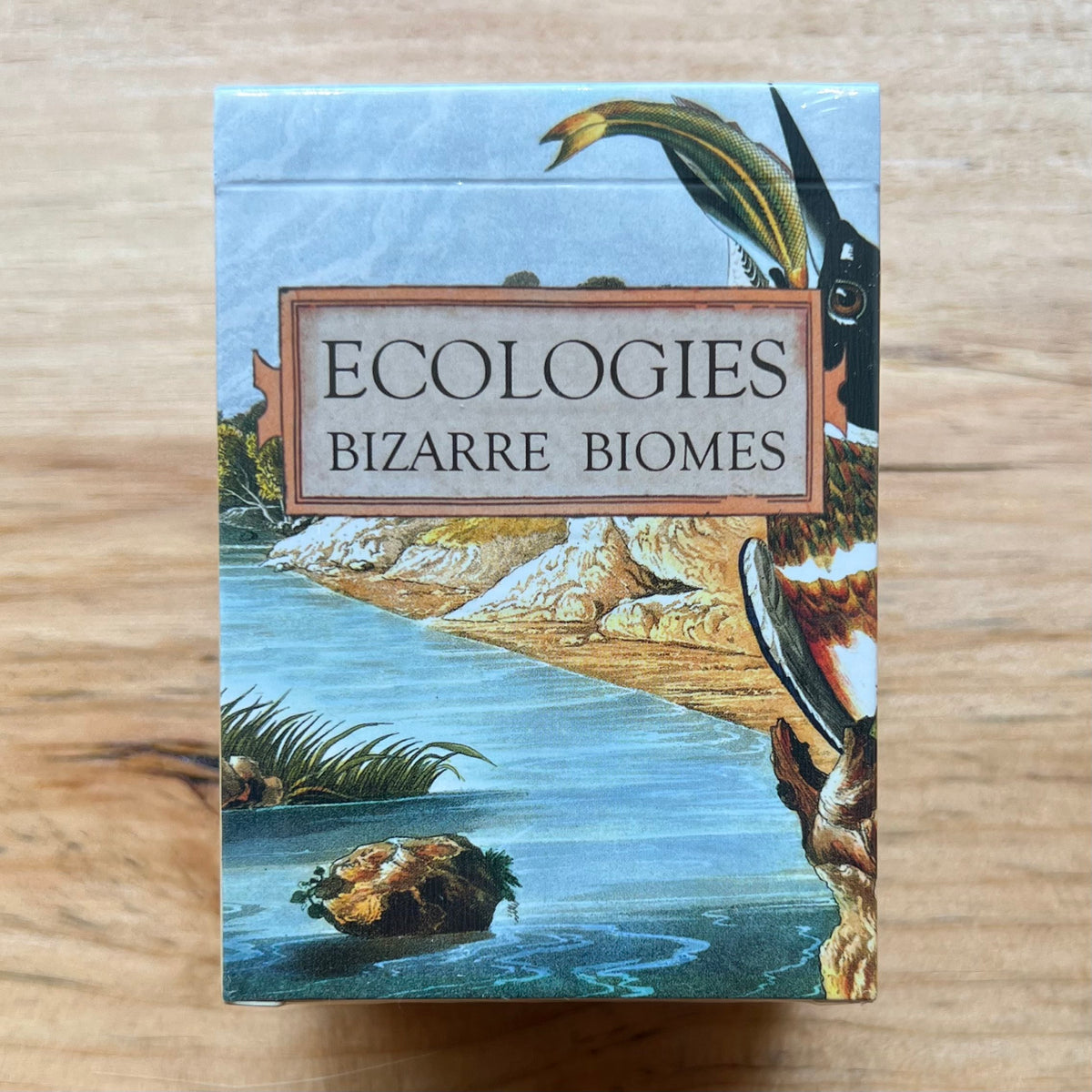 Ecologies Card Game: Bizarre Biomes – Chicory Naturalist