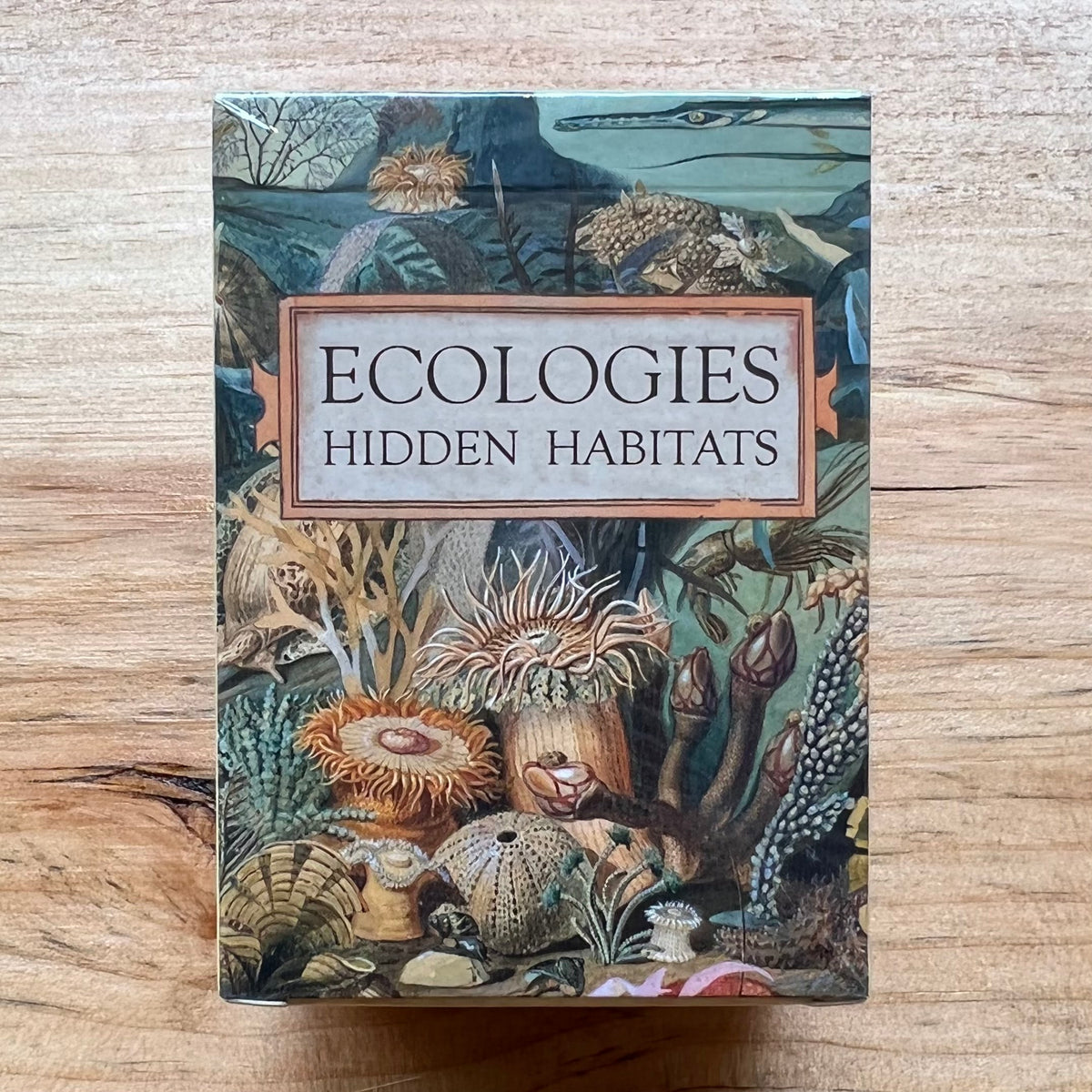Ecologies Card Game: Hidden Habitats – Chicory Naturalist